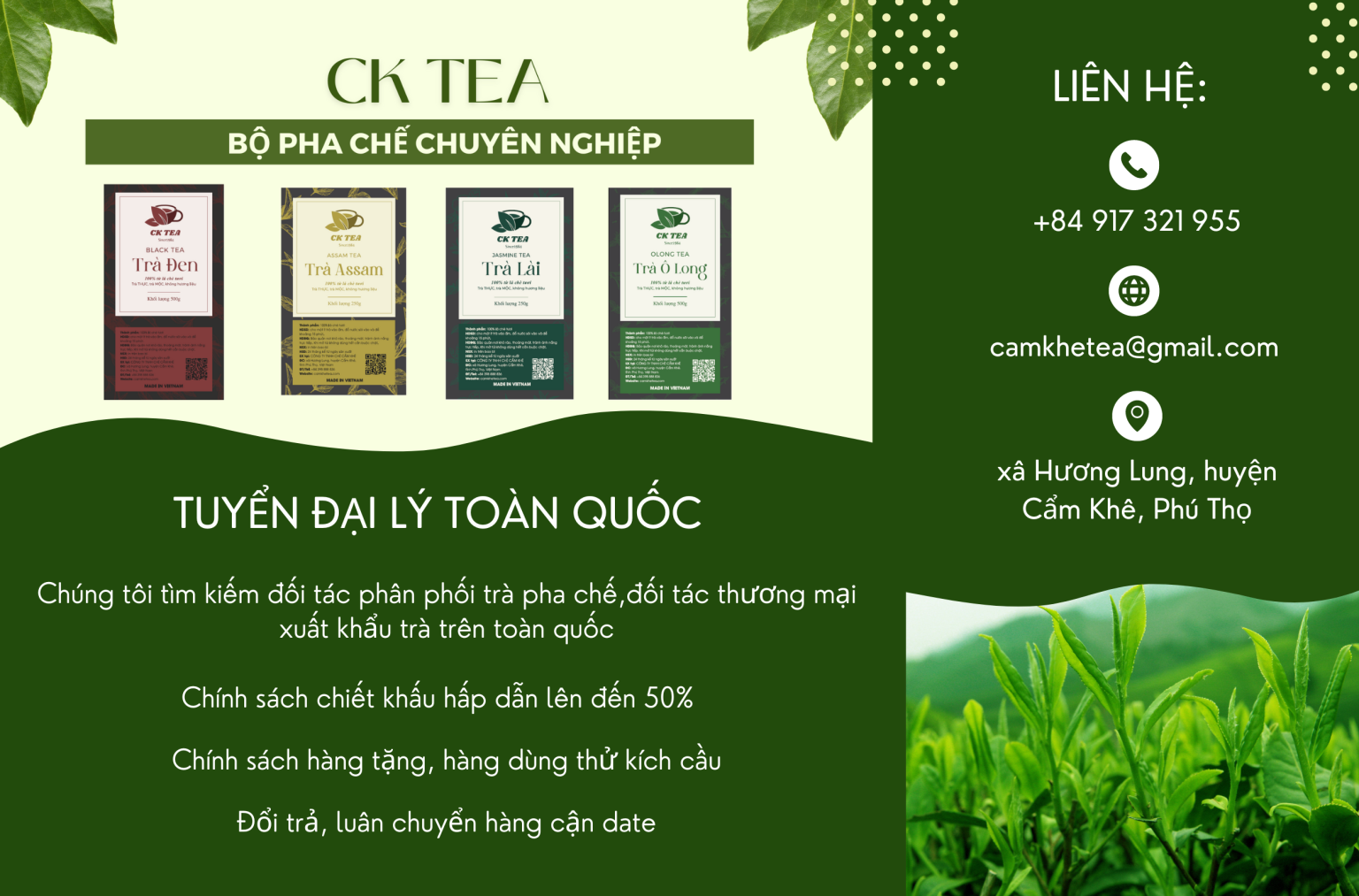 Giới thiệu- Công ty TNHH Chè Cẩm Khê (CK Tea) - Cẩm Khê Tea